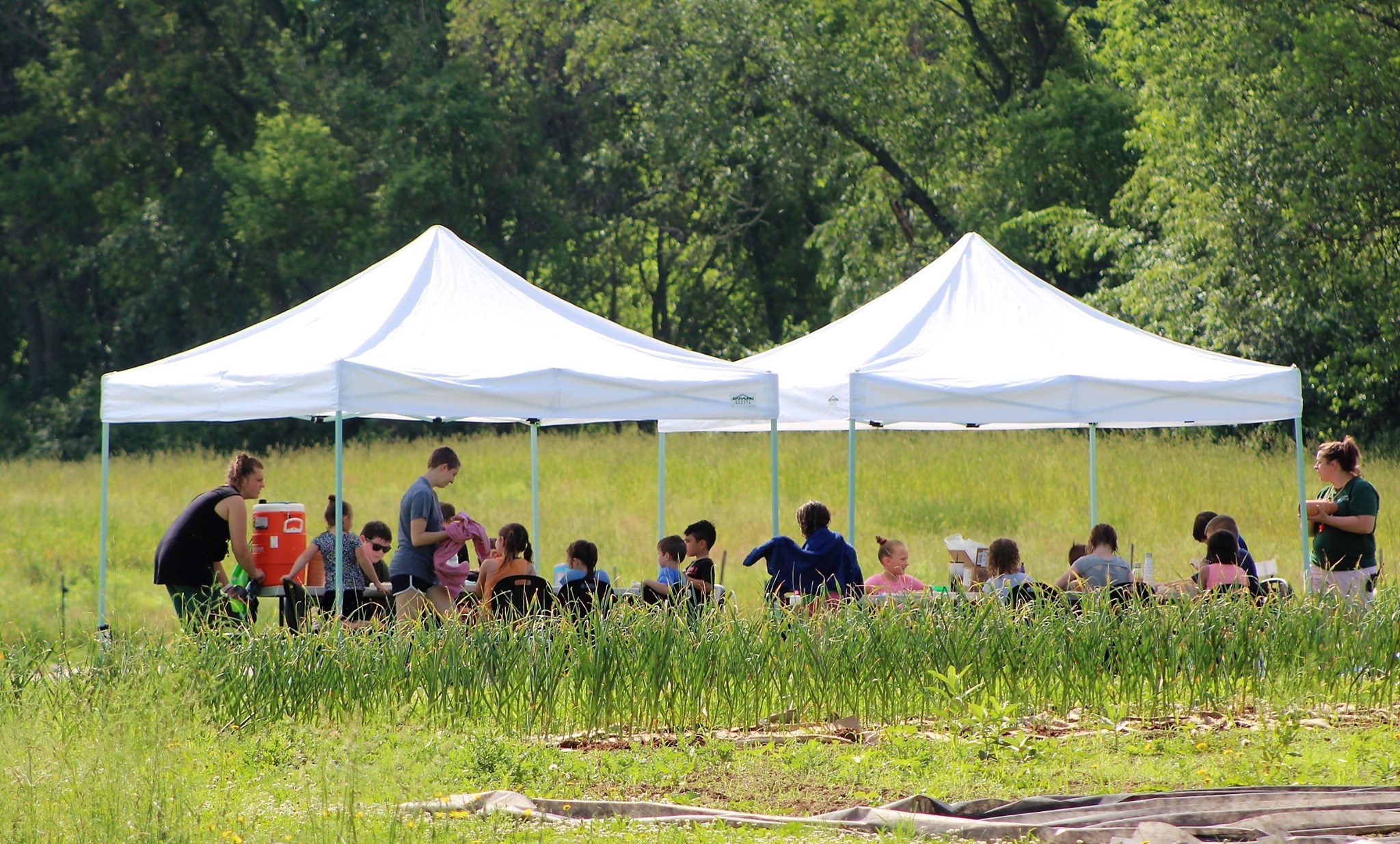 Franciscan Earth Literacy Center - Seneca County Family and Children ...